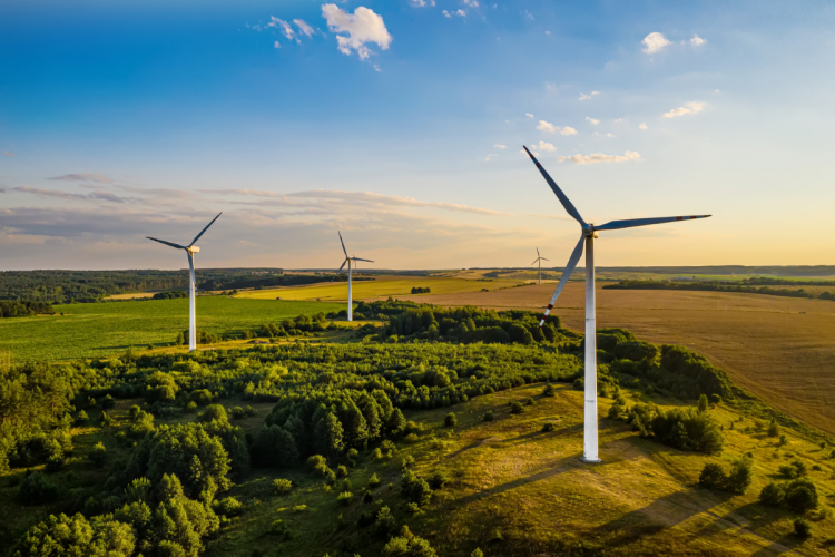 On-Shore Wind Farm Repowering and New Developments | Meinhardt ...